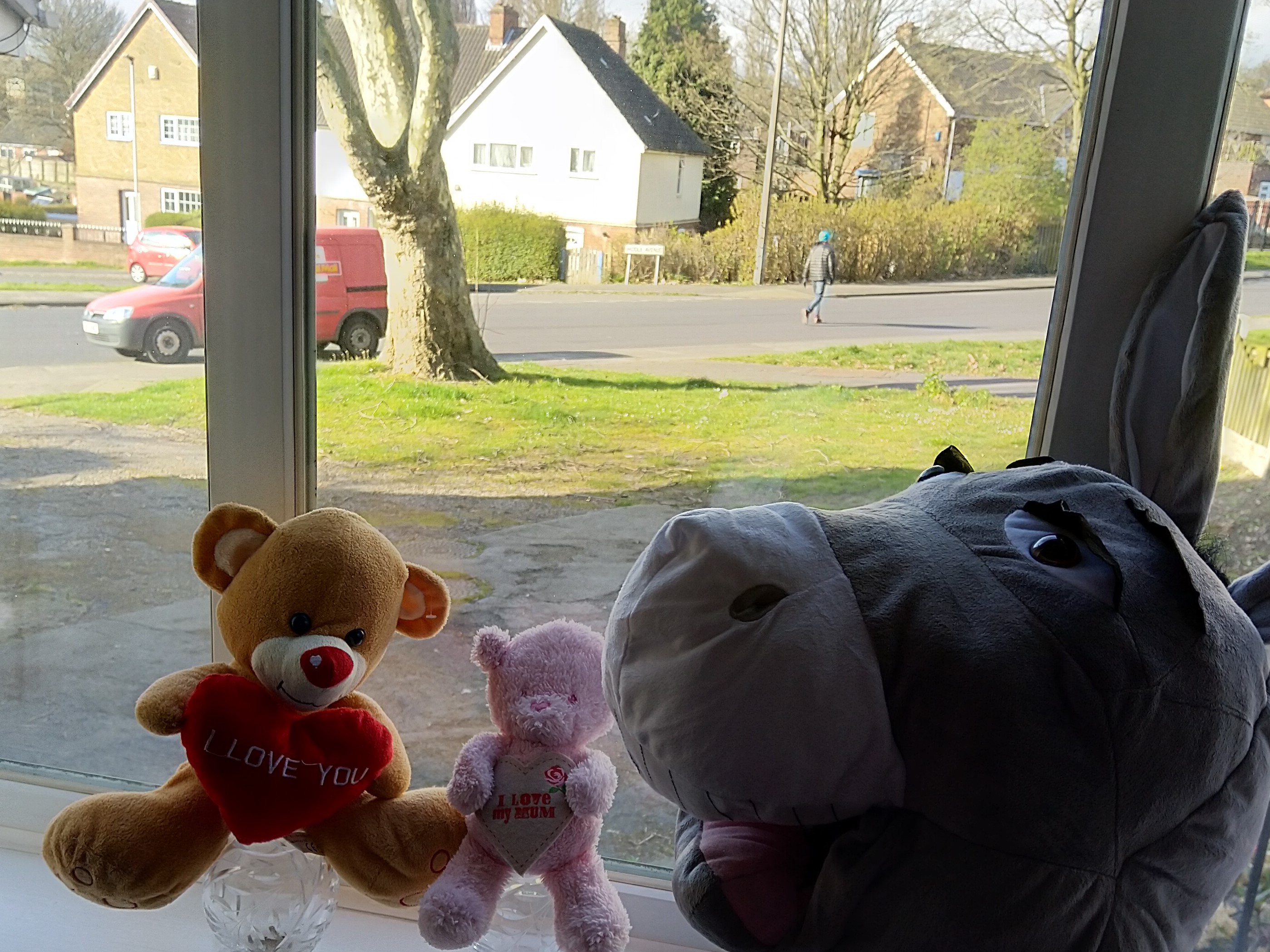 Is your teddy in the window?? – Social Eyes Rotherham